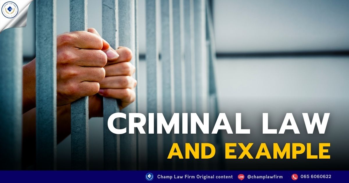 What is the criminal law and example ? - Champ Law Firm